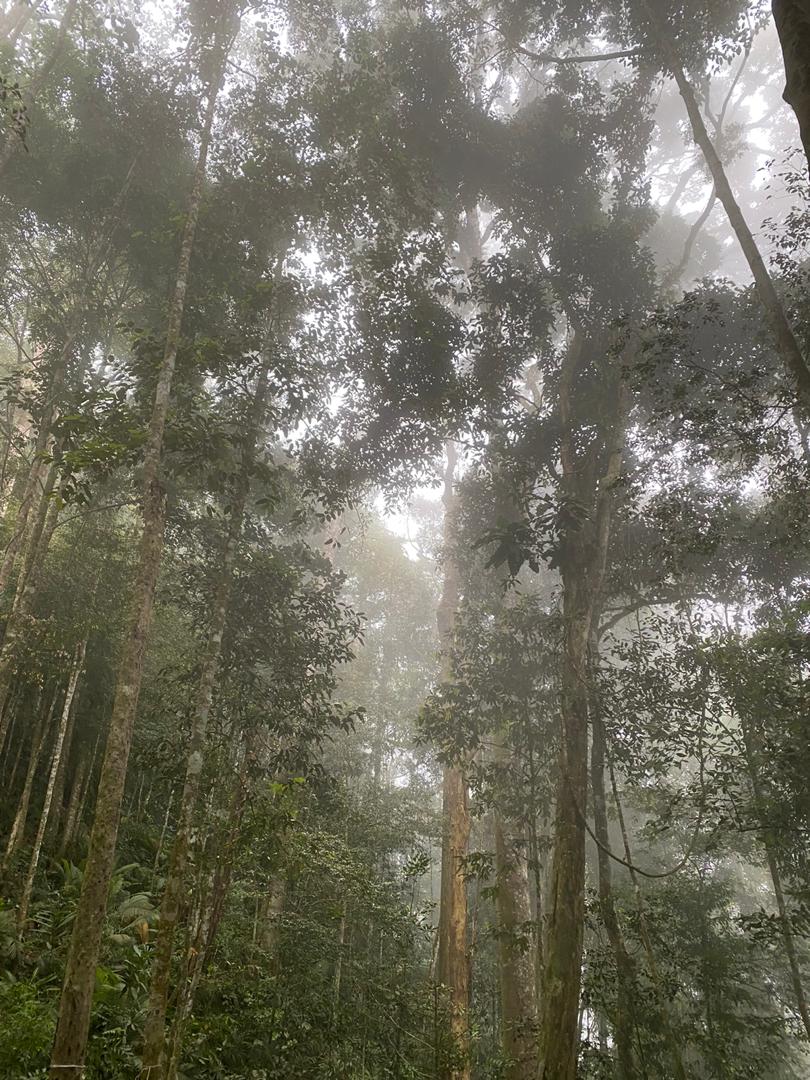 Gunung Liang. The path less explored – Trace a Trail